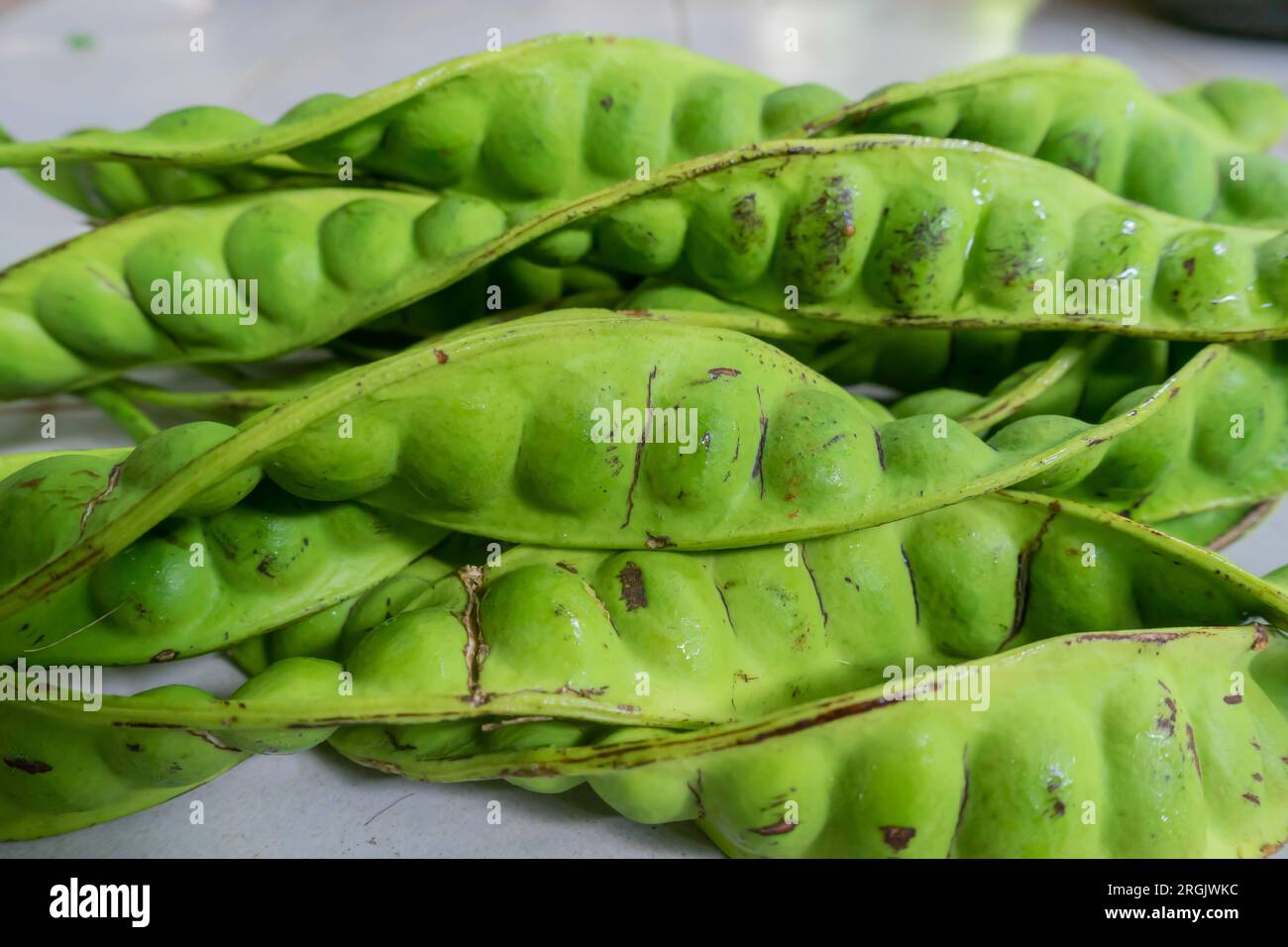 Raw of petai or pete (Parkia speciosa). Usually eaten raw and cooked ...