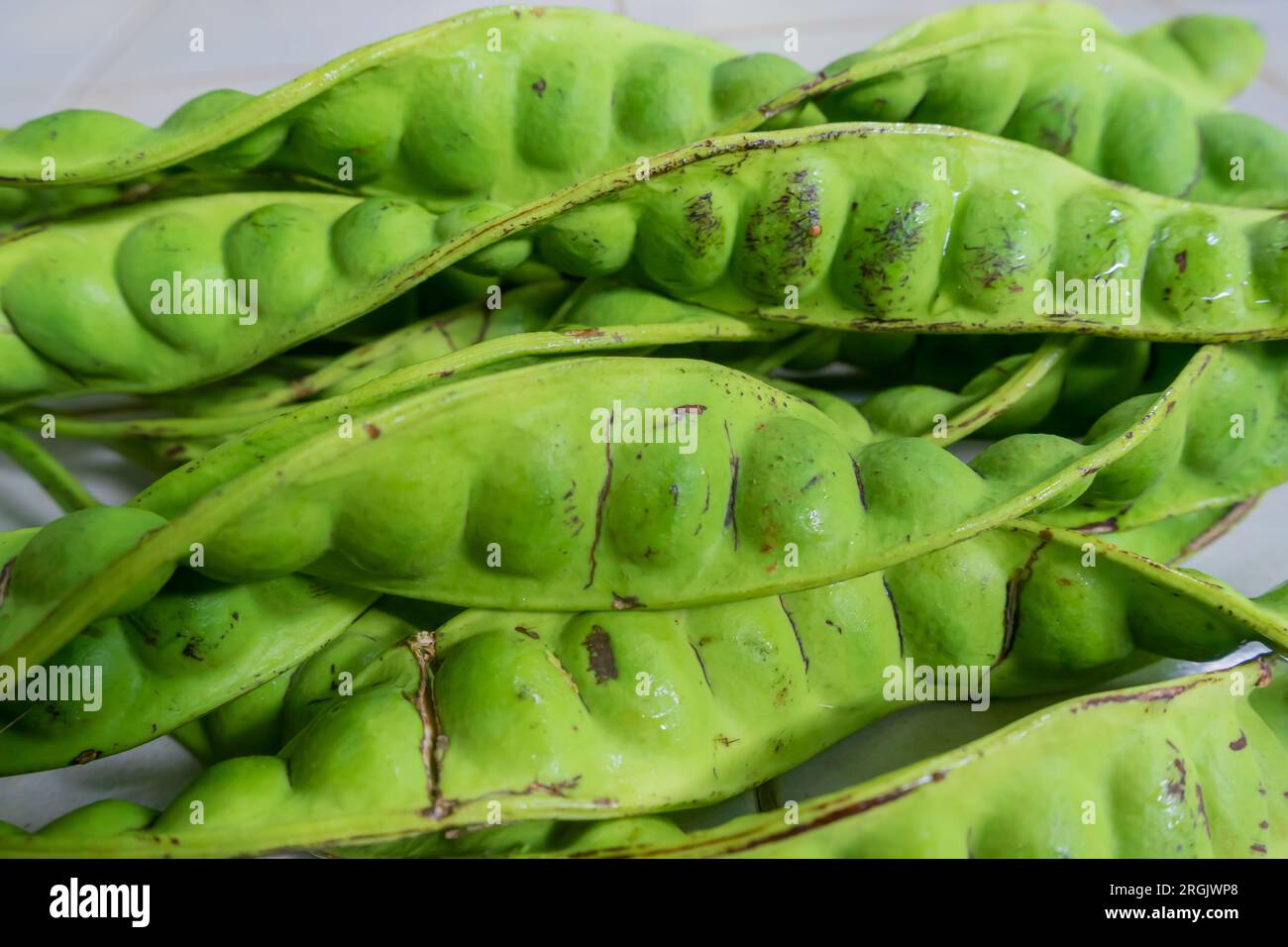Petay hi-res stock photography and images - Alamy