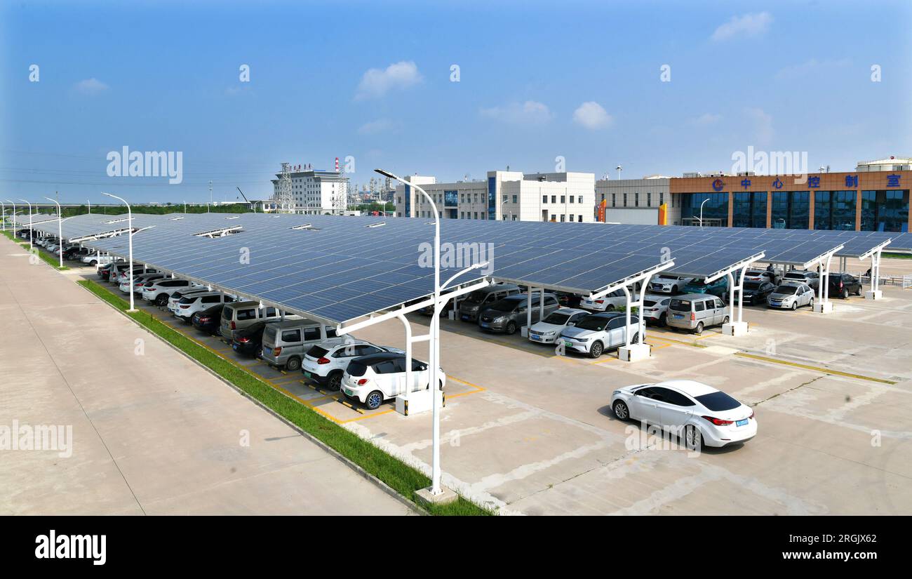CANGZHOU, CHINA - AUGUST 9, 2023 - Photo taken on August 9, 2023 shows ...