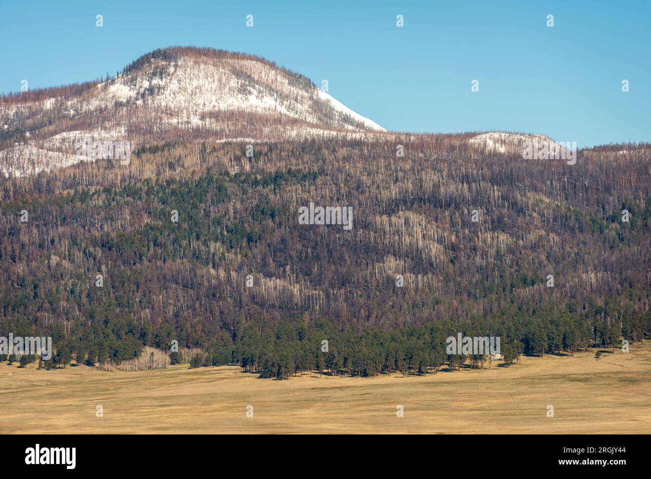 Valles caldera natural preserve hi-res stock photography and images - Alamy