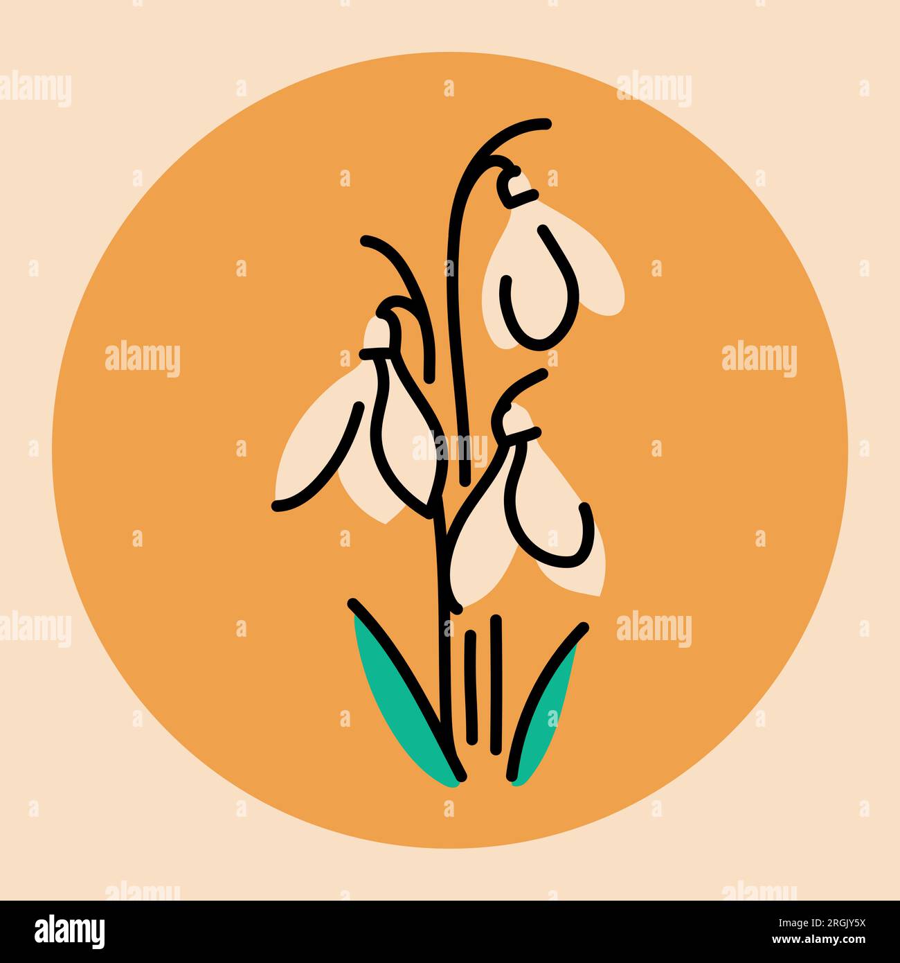 Spring flowers snowdrop galanthus Stock Vector Images - Alamy