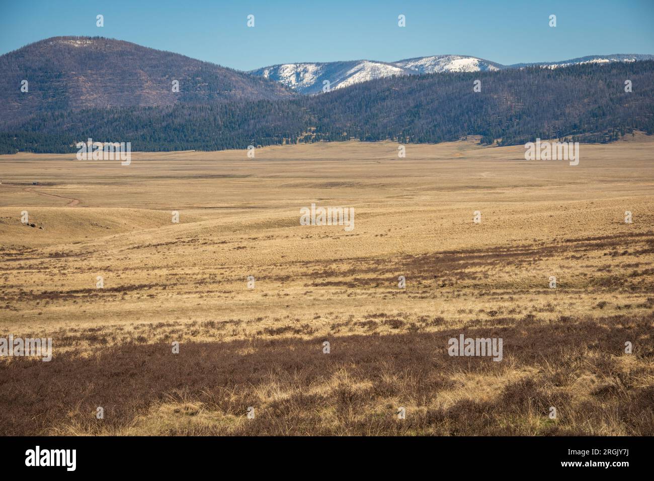 Valles Caldera National Preserve in New Mexico Stock Photo - Alamy