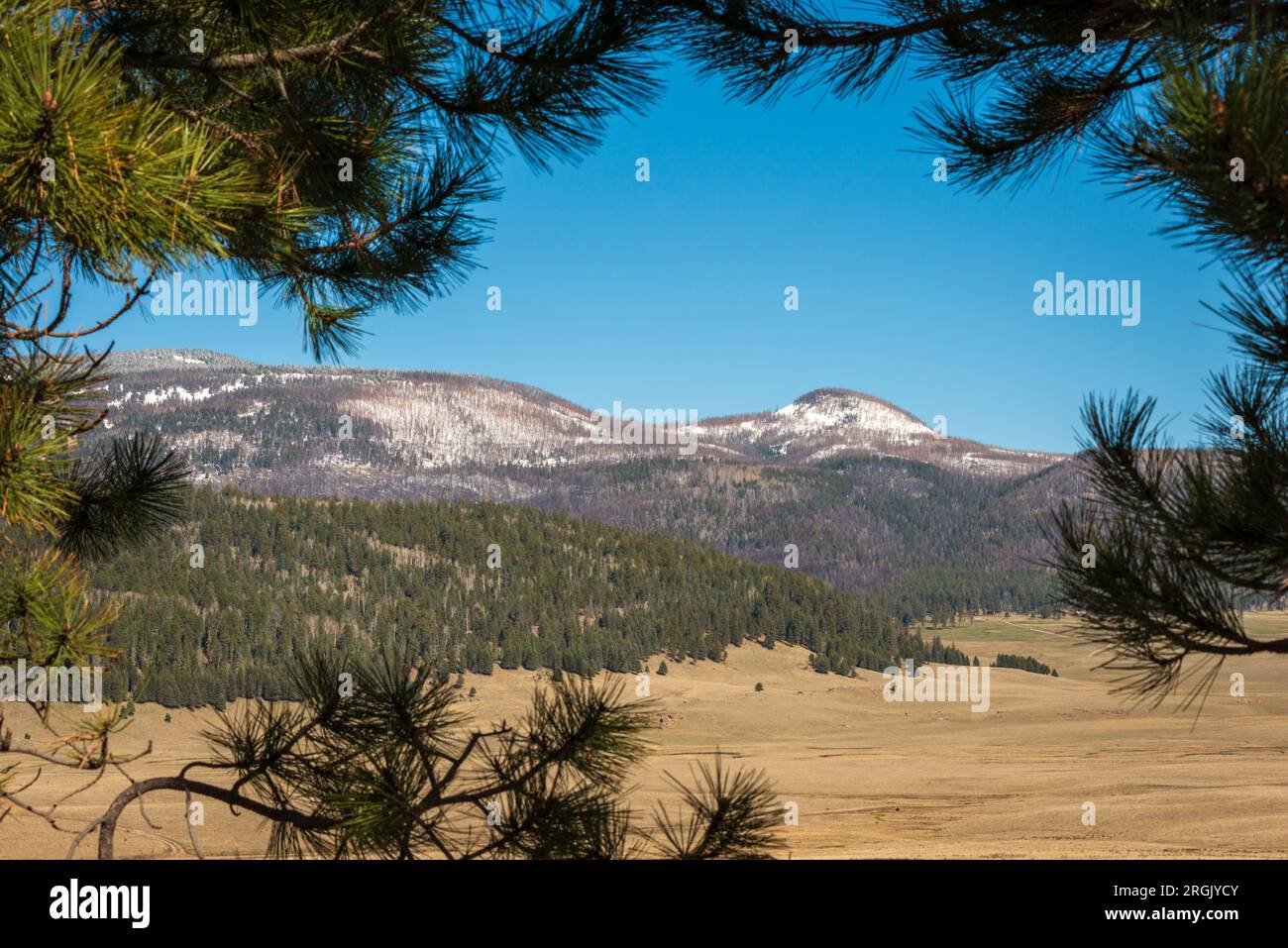 Valles Caldera National Preserve in New Mexico Stock Photo - Alamy