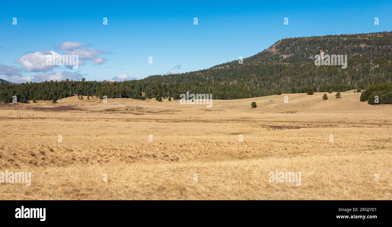 Valles Caldera National Preserve in New Mexico Stock Photo - Alamy