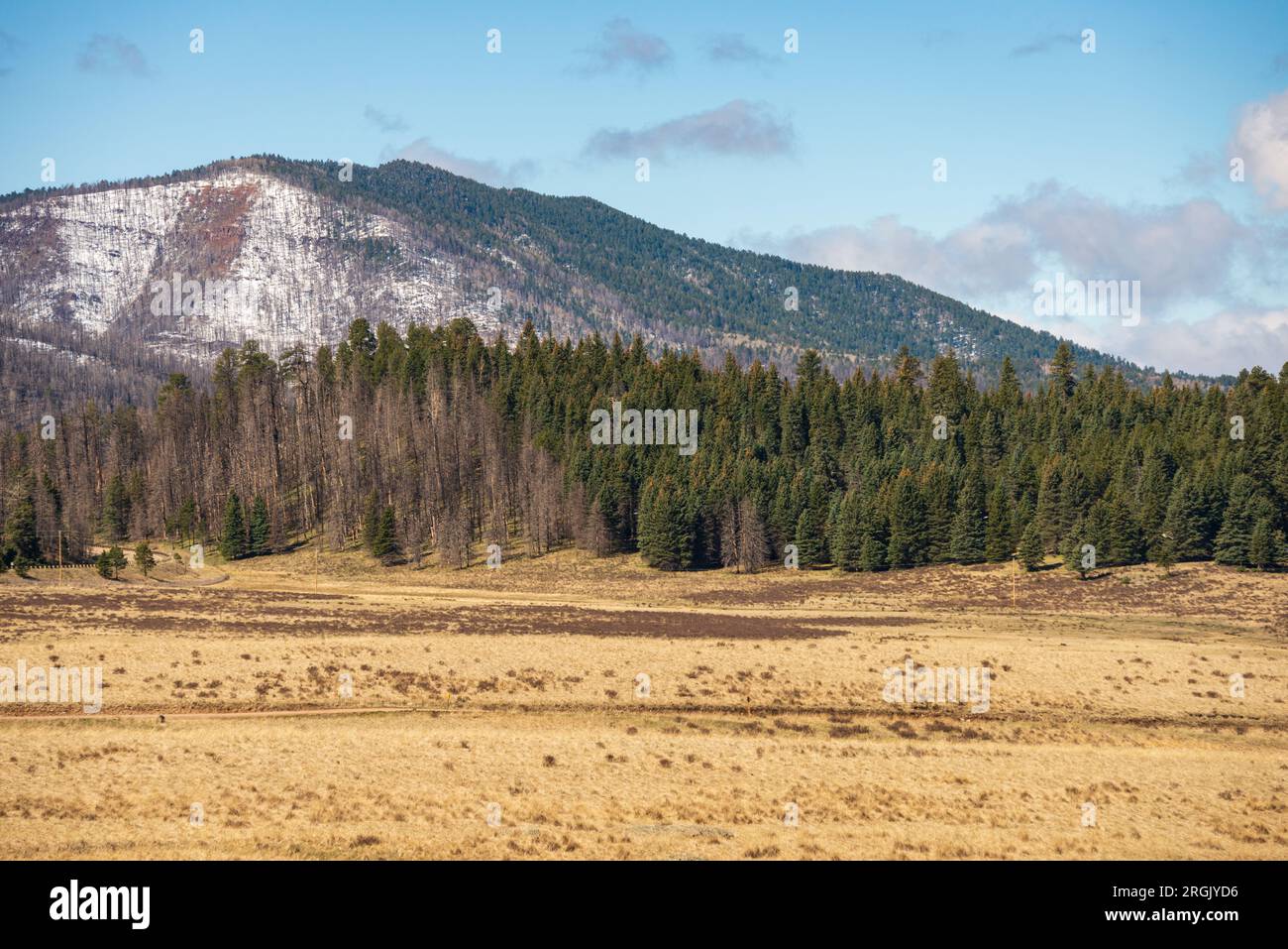Valles Caldera National Preserve in New Mexico Stock Photo - Alamy