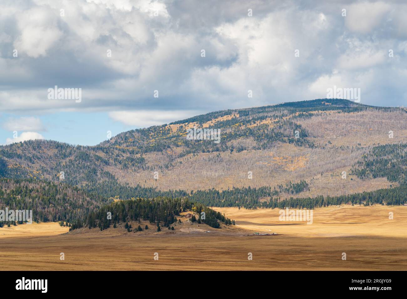 Valles Caldera National Preserve in New Mexico Stock Photo - Alamy
