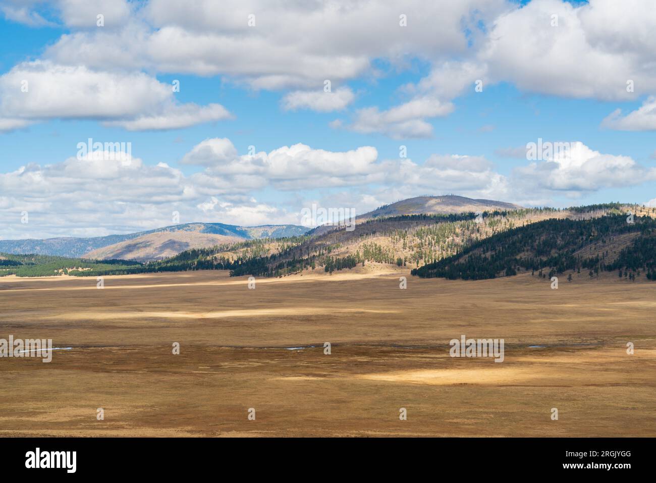 Valles Caldera National Preserve in New Mexico Stock Photo - Alamy