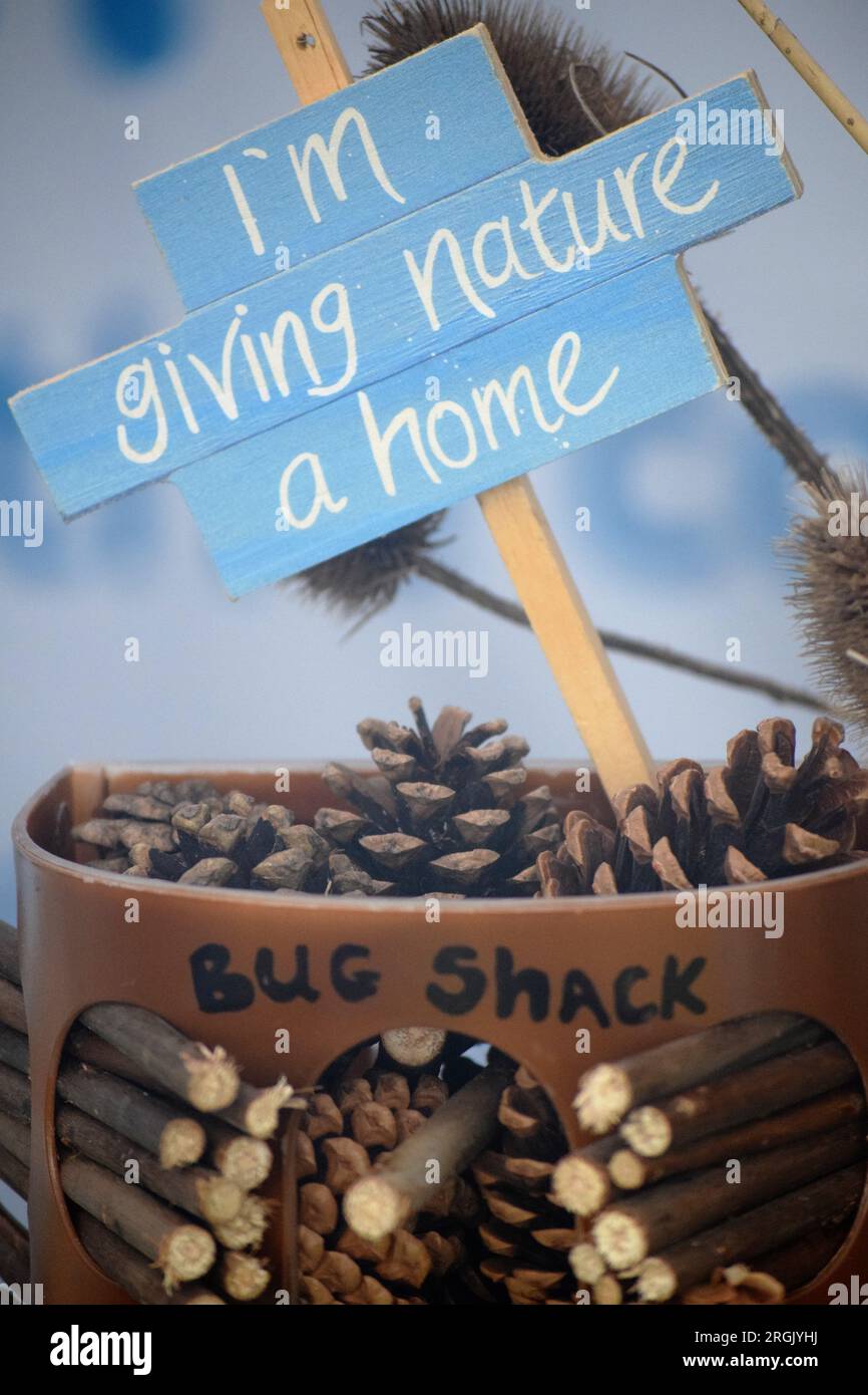 A home made bug shack Stock Photo - Alamy