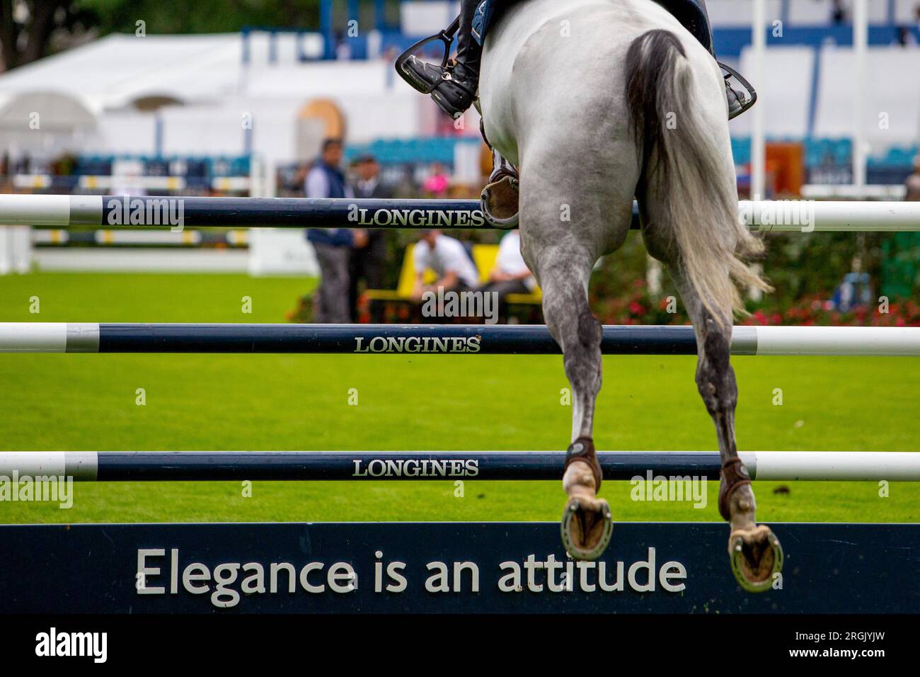 Showjumper hi-res stock photography and images - Alamy