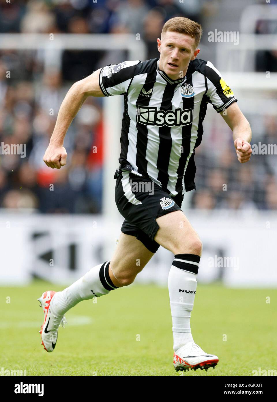 Elliot anderson newcastle hi-res stock photography and images - Alamy