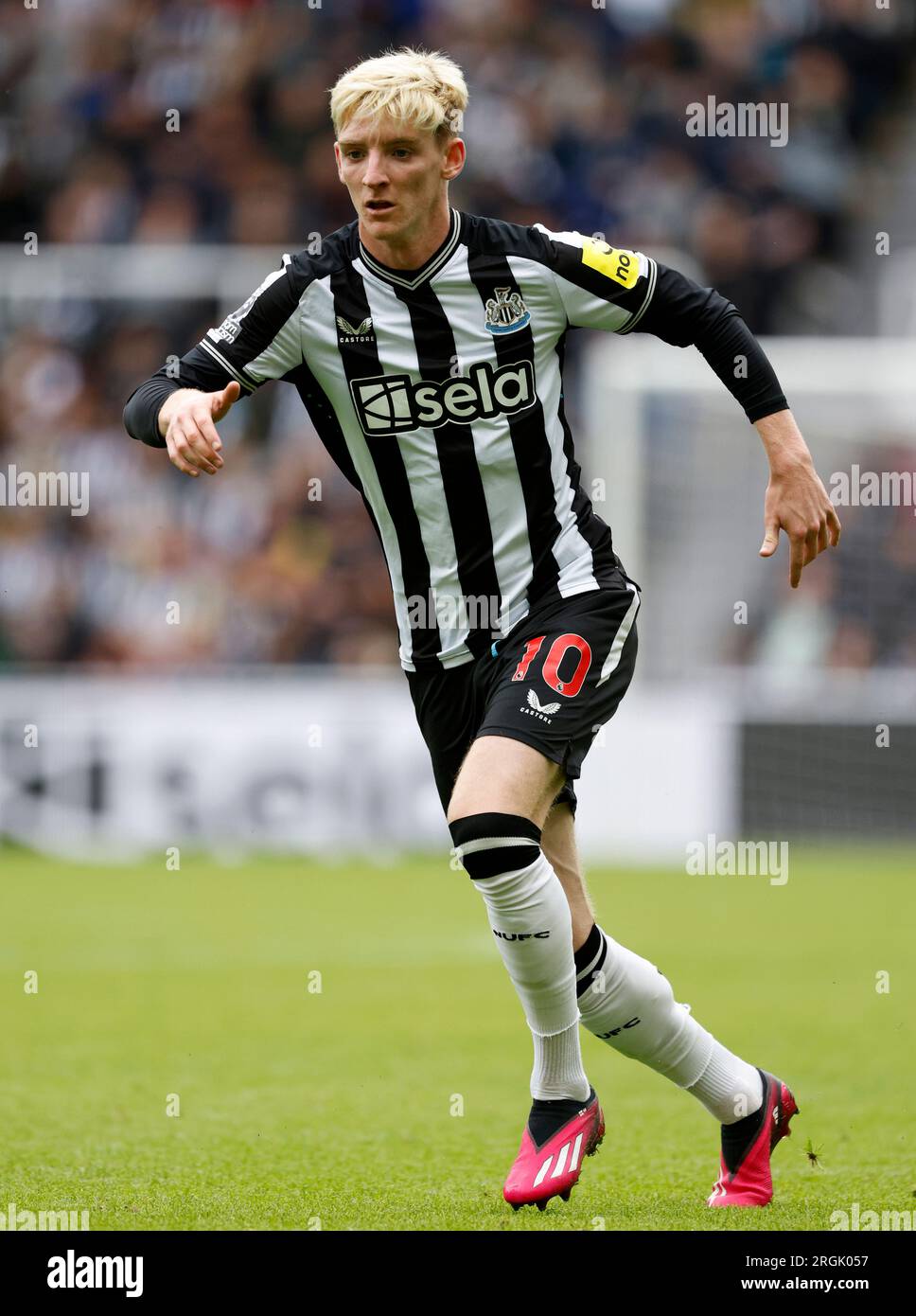 Visitmalta cup hi-res stock photography and images - Alamy