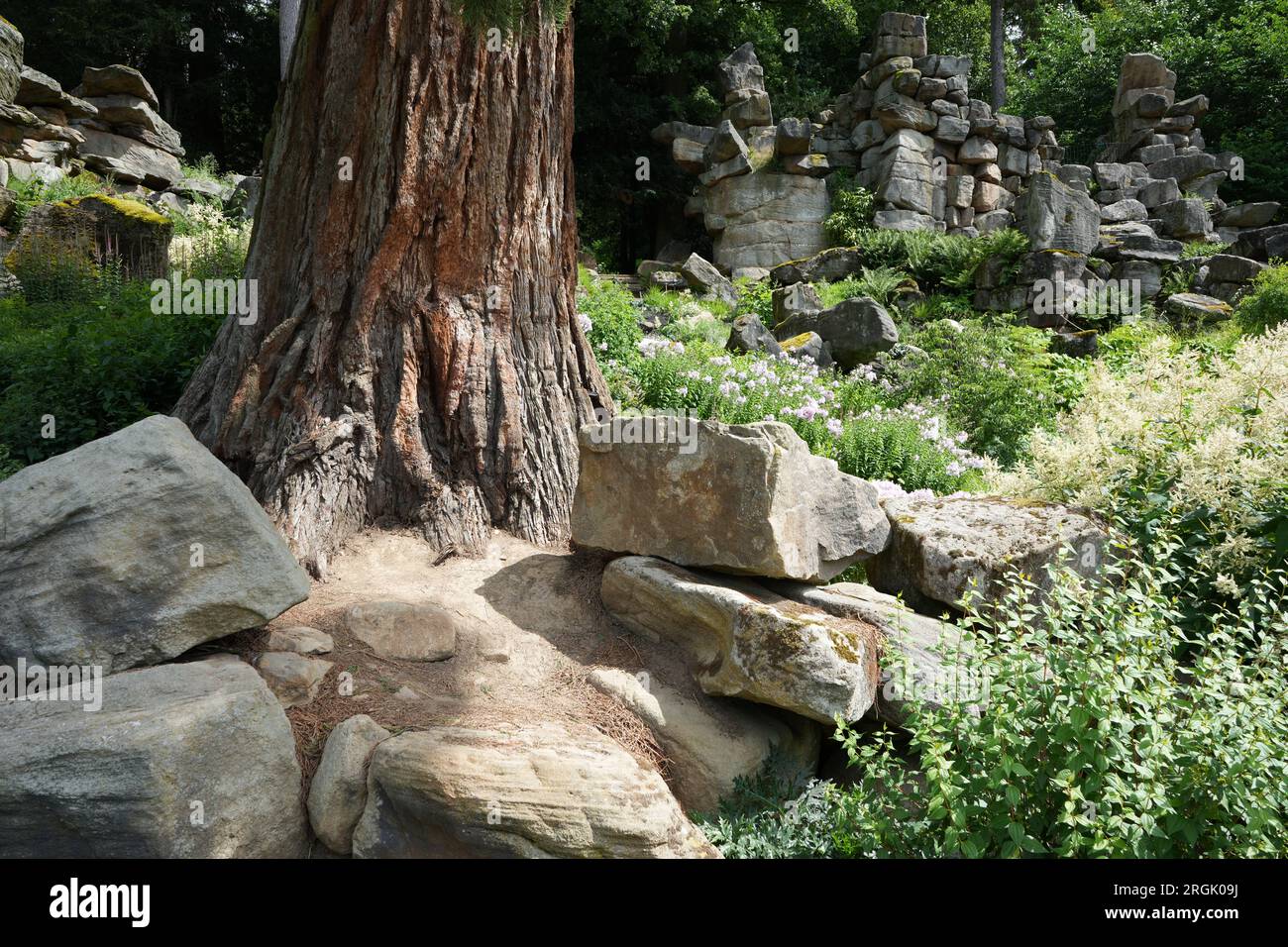 Tree trunk by a Pile of balanced rocks in woodland, Derbyshire, UK ...