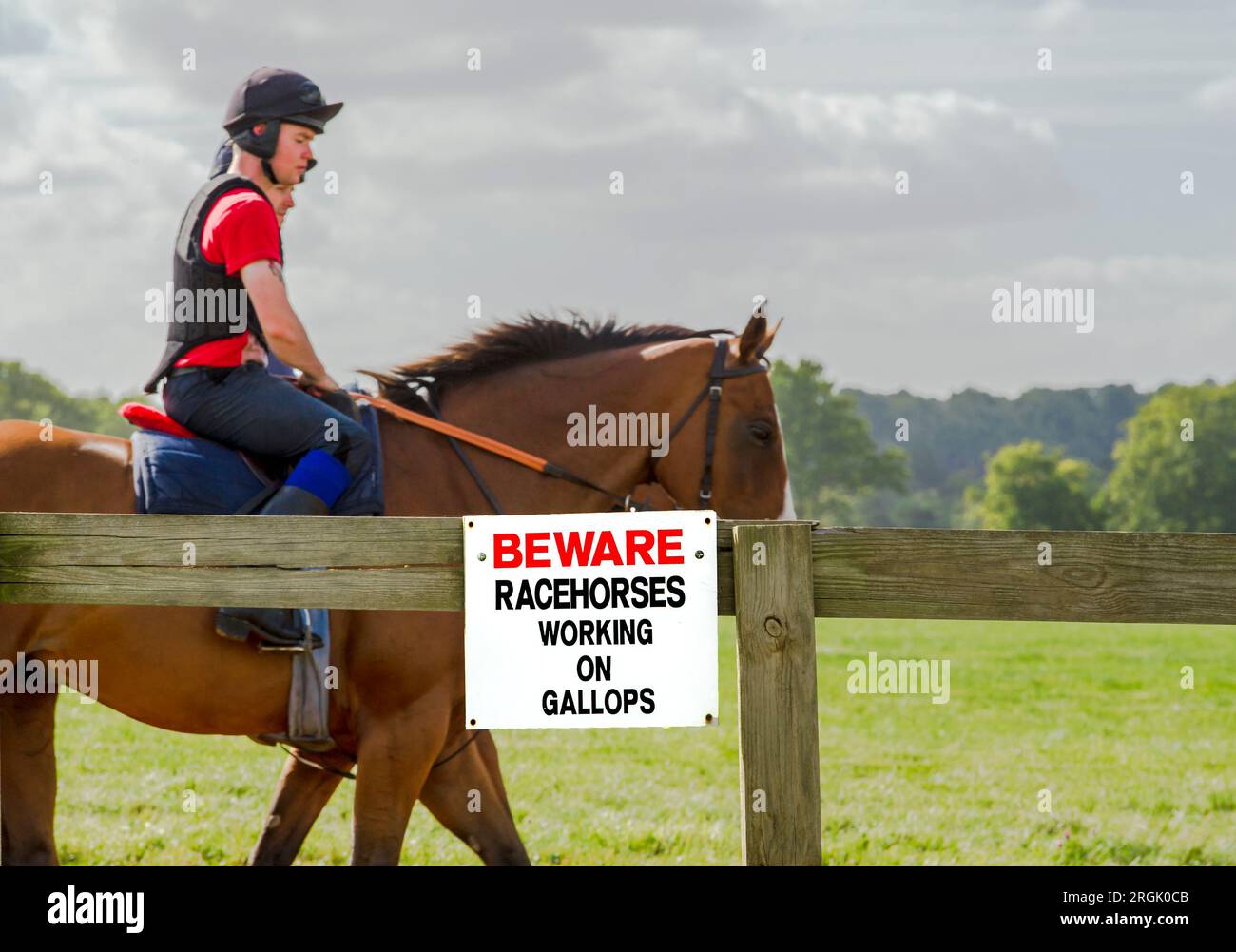 Newmarket Training grounds Stock Photo - Alamy