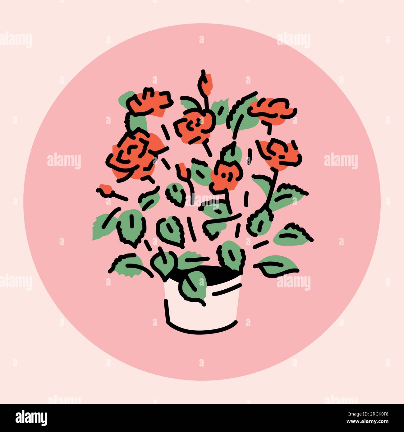 Indoor rose pot Stock Vector Images - Alamy