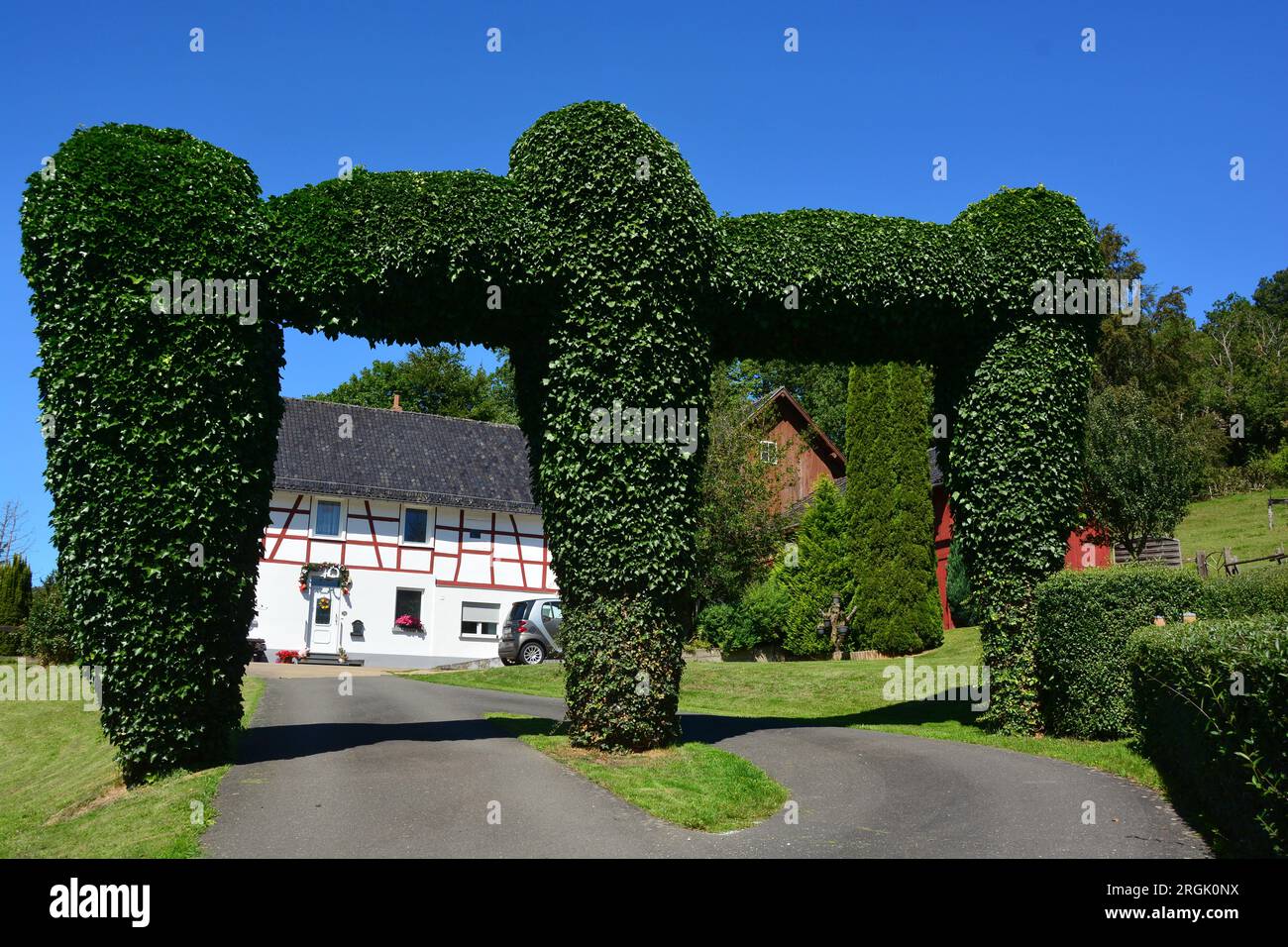 Very high hedges as protection against wind and storm are typical in ...