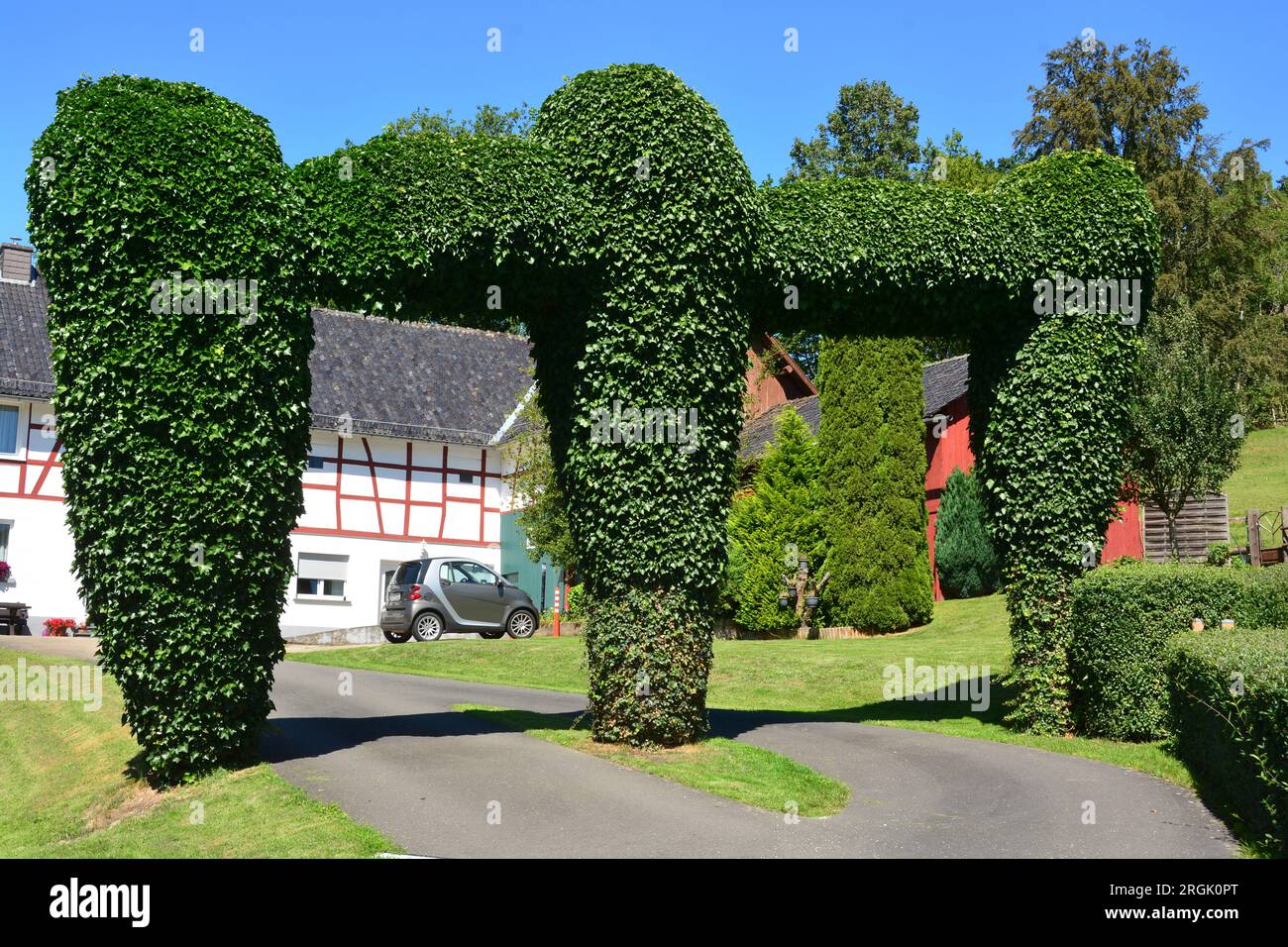 Very high hedges as protection against wind and storm are typical in ...