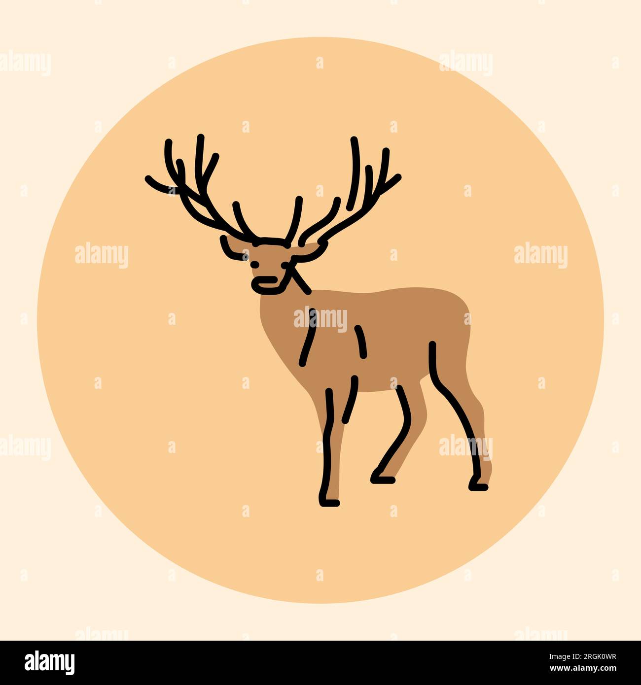 Stag web Stock Vector Images - Alamy