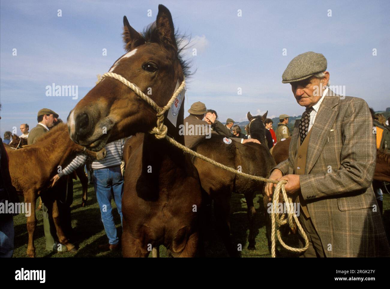 Stow on the Wold gypsy horse fair 1990s UK. The annual fair dates from ...