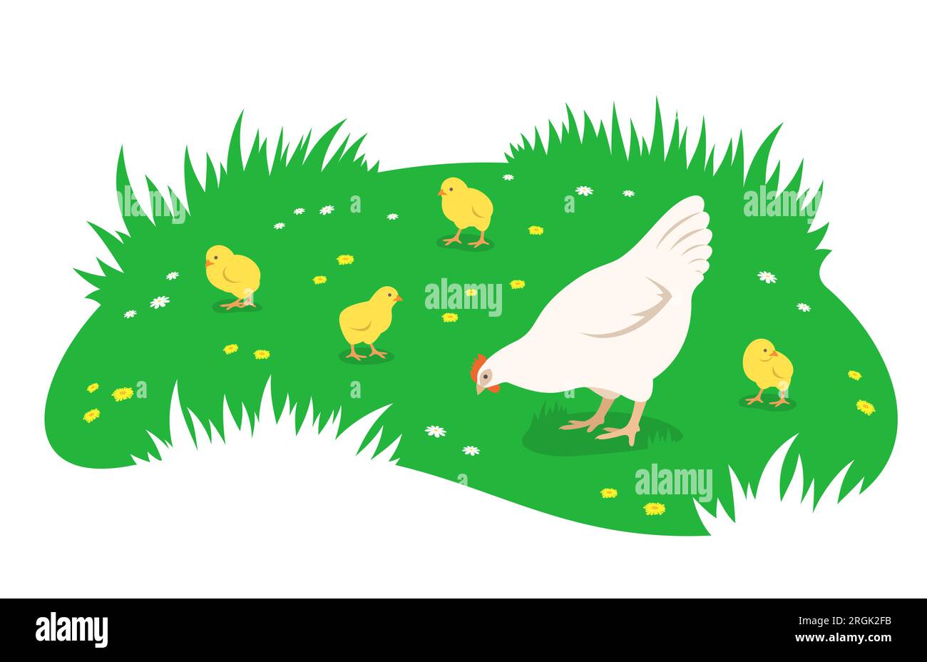 Flock walking Stock Vector Images - Alamy