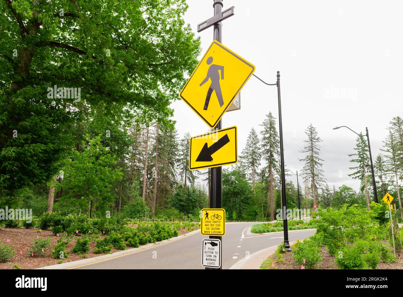 The Iconic Yellow Pedestrian Road Sign at a Local road in the Forest ...