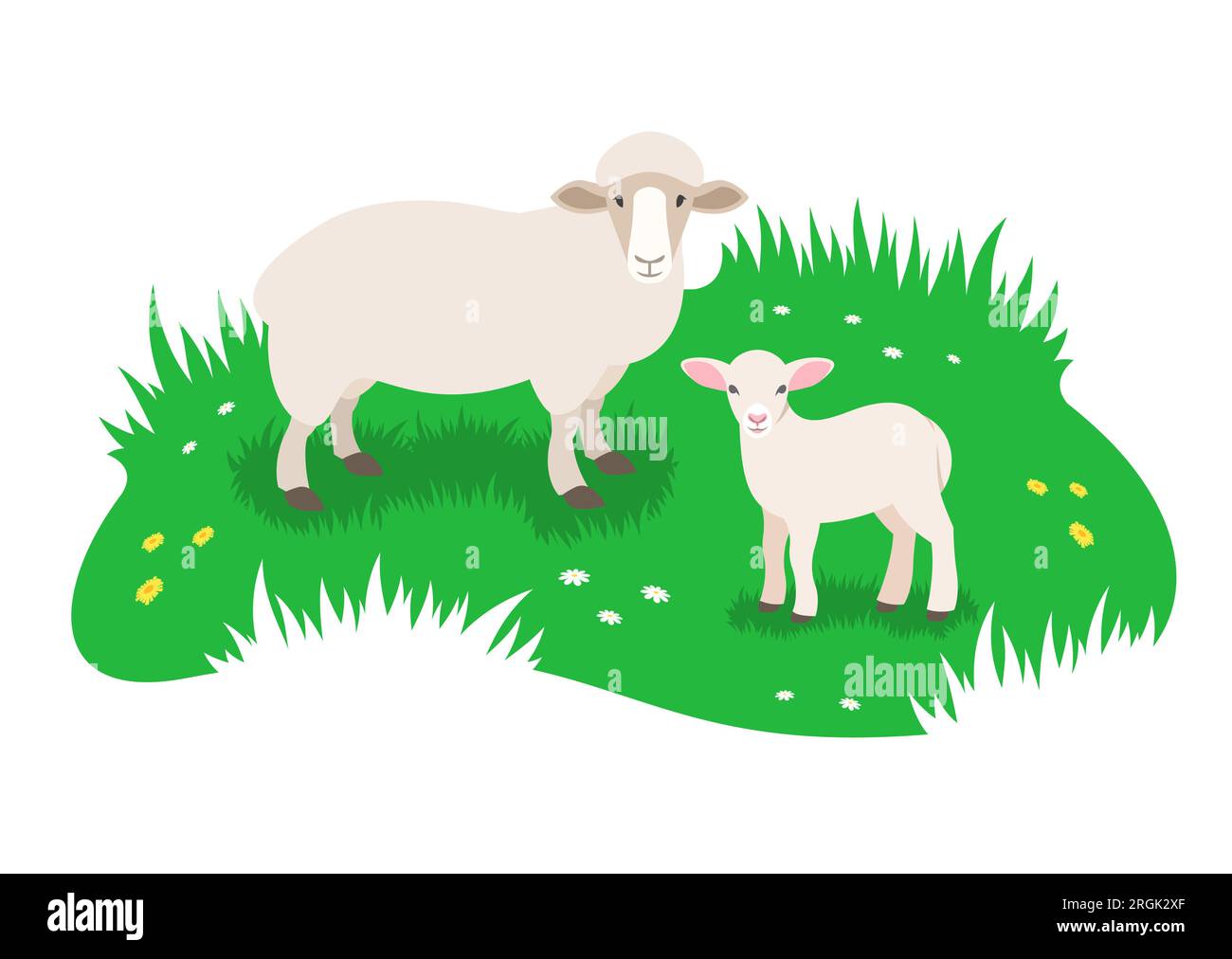 Sheep and her little lamb grazing in green meadow. Simple flat vector illustration Stock Vector ...