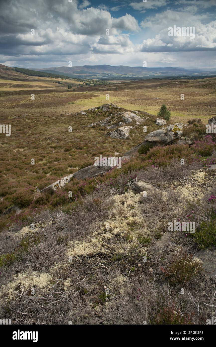 The Cairngorm Mountains viewed from the Dava Road, Speyside, Grampian ...