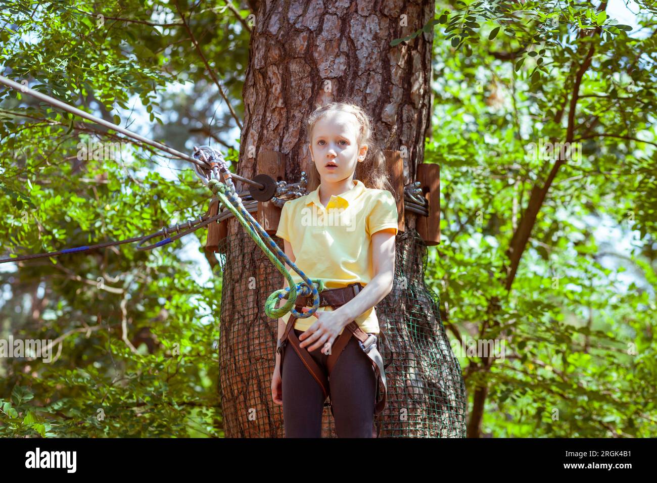 Child in a forest adventure park made of ropes. Children's outdoor ...