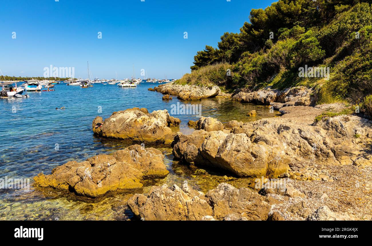 Cannes, France - July 31, 2022: Rocky coast with woods and forest of ...