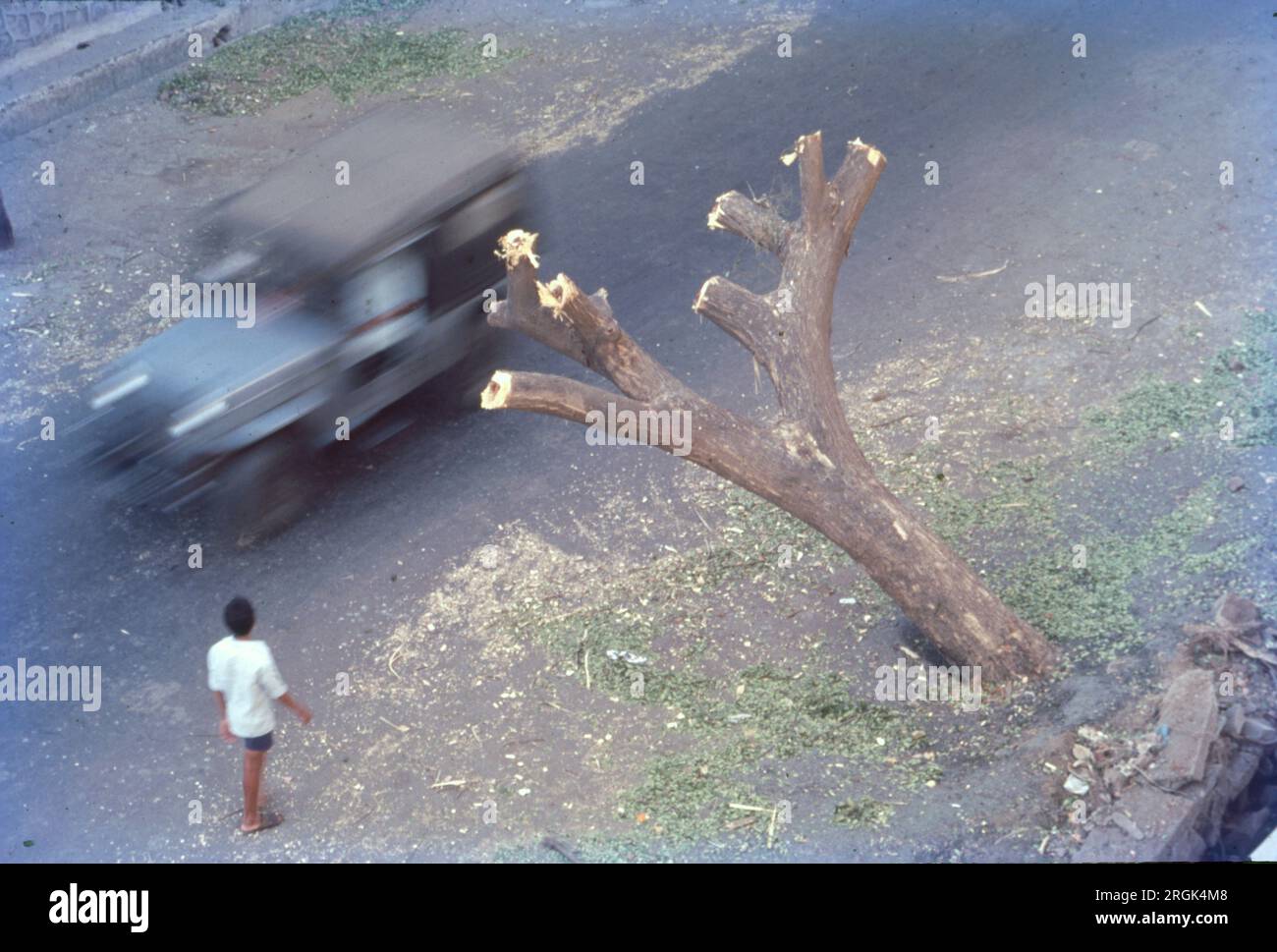 Ecological imbalance hi-res stock photography and images - Alamy