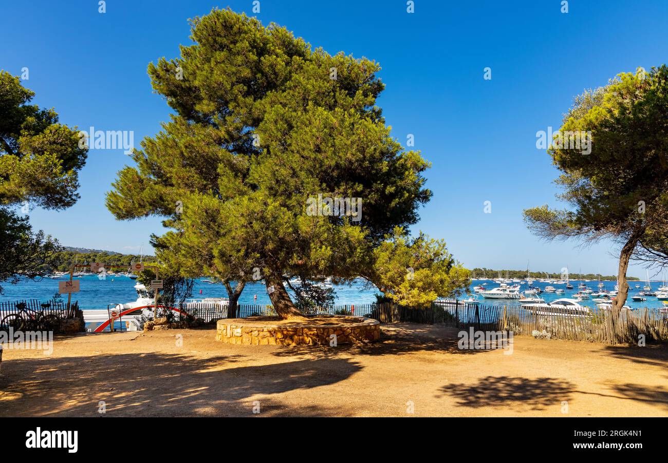 Cannes, France - July 31, 2022: Rocky coast with woods and forest of ...