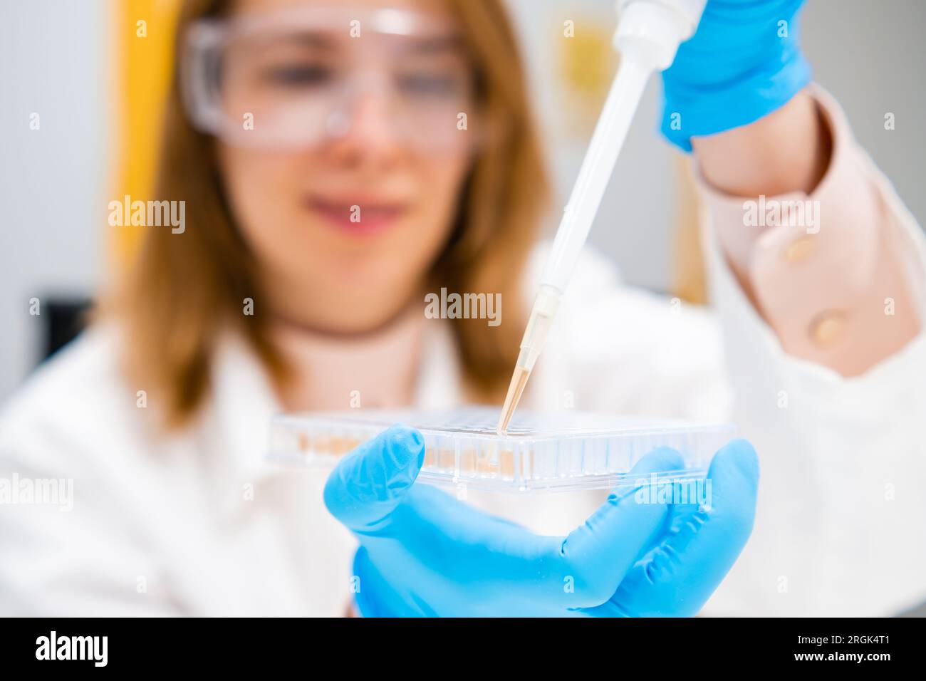 Scientist in goggles and rubber gloves uses pipette for filling 96 well plate for ...