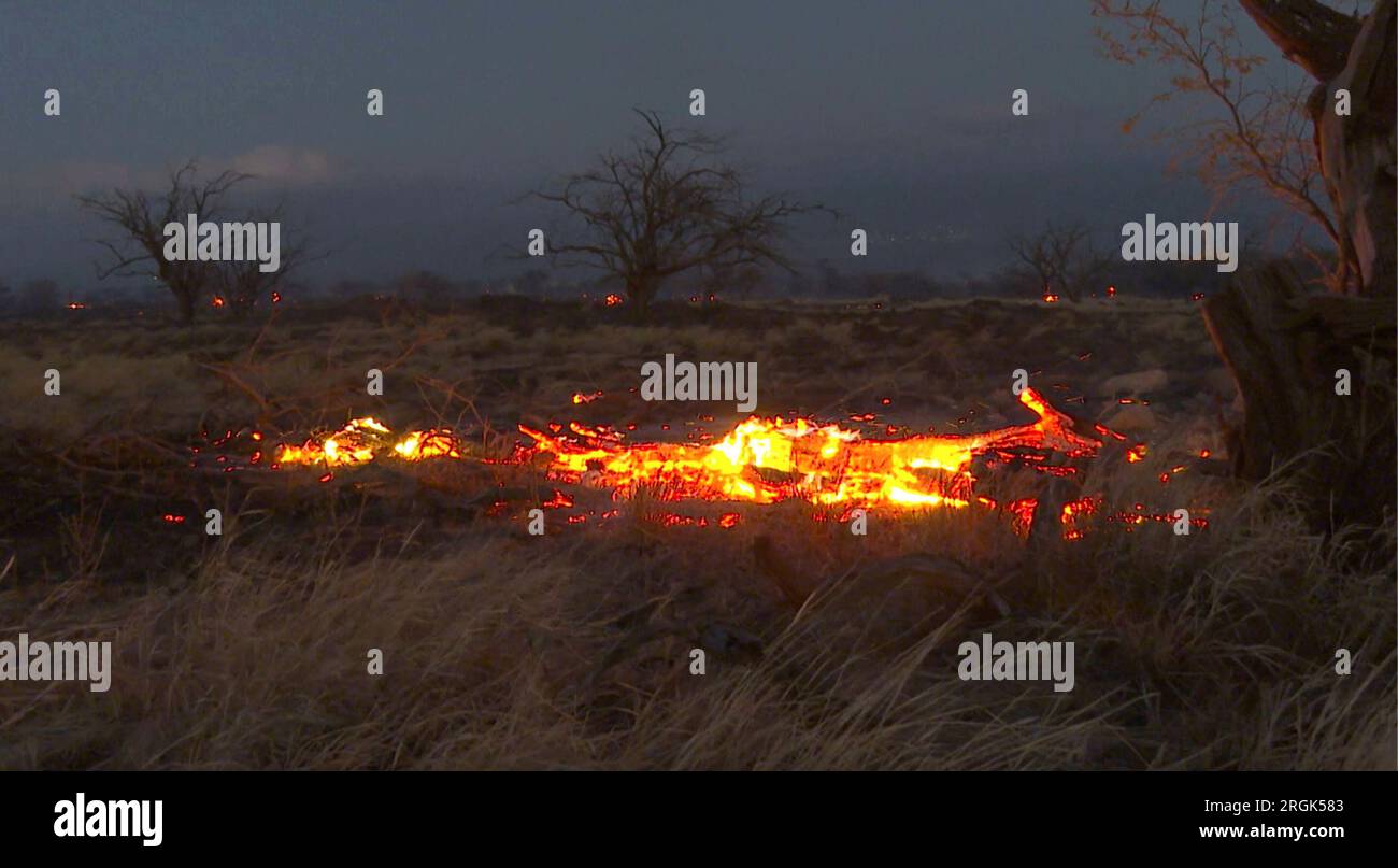 Flames from a wildfire burn in Kihei, Hawaii Wednesday, Aug. 9, 2023 ...