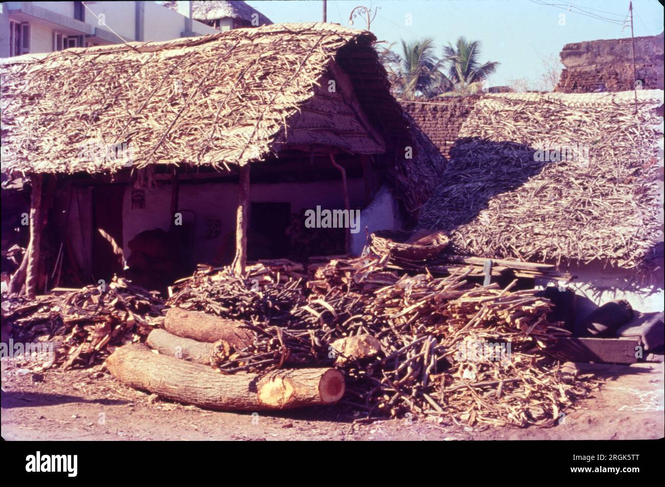 Ecology, Environmental, India Stock Photo - Alamy