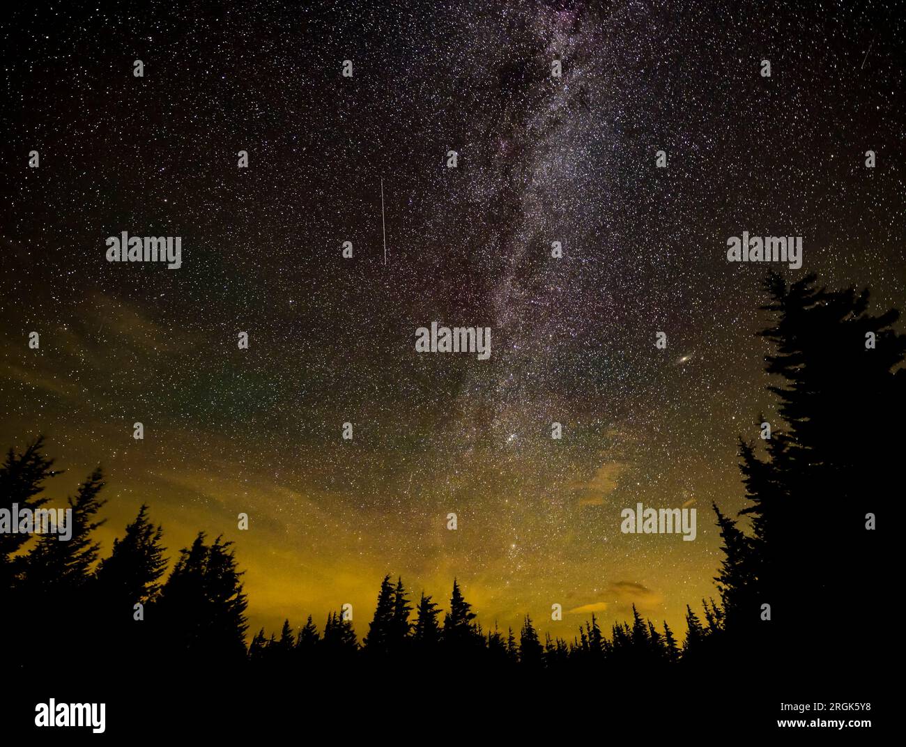 The Perseid Meteor Shower in colorful sky full of stars. Elements of ...