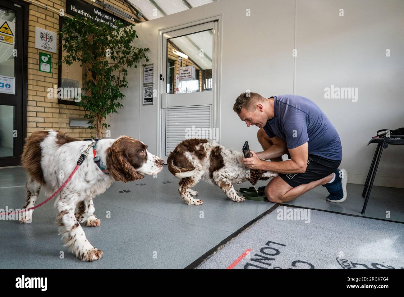 Reunited airport hi-res stock photography and images - Alamy