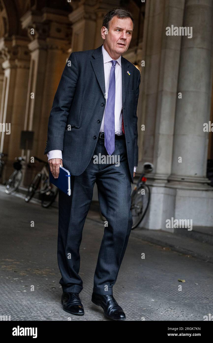 Greg Hands, Chairman of the Conservative Party, attends cabinet in ...