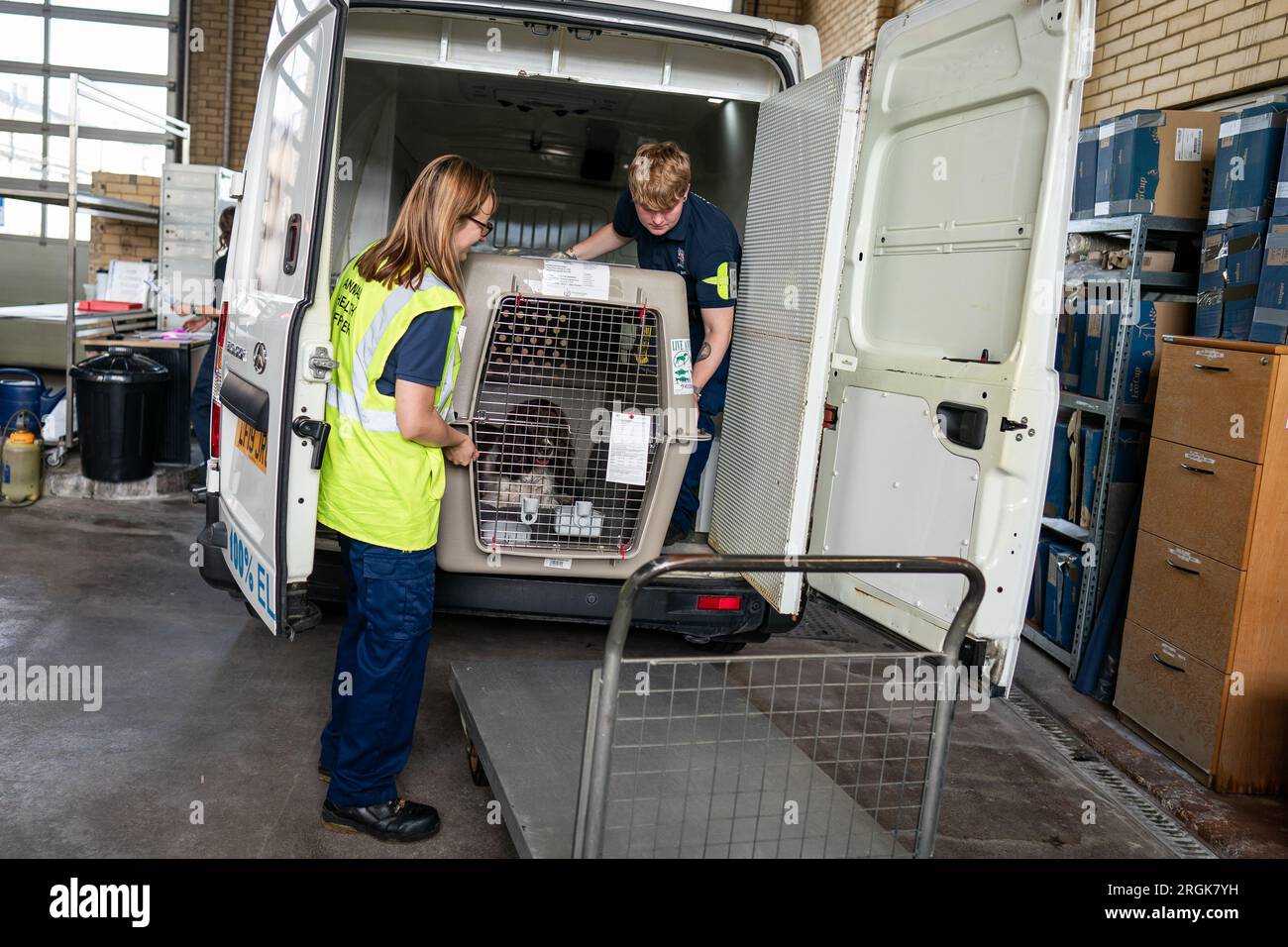 Imported animals hi-res stock photography and images - Alamy