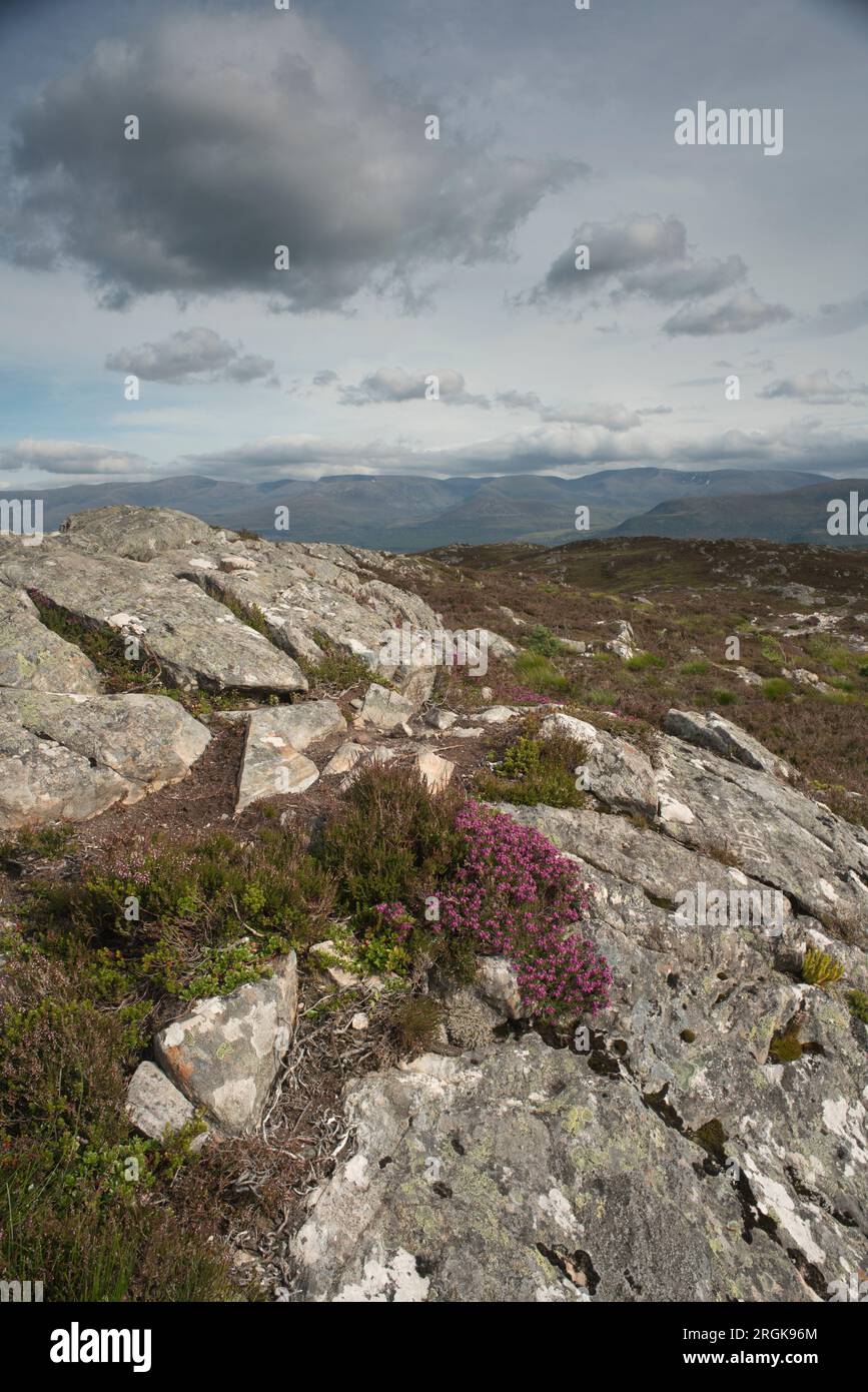 The Cairngorm Mountains, viewed from Craigellachie, Aviemore, Scotland ...