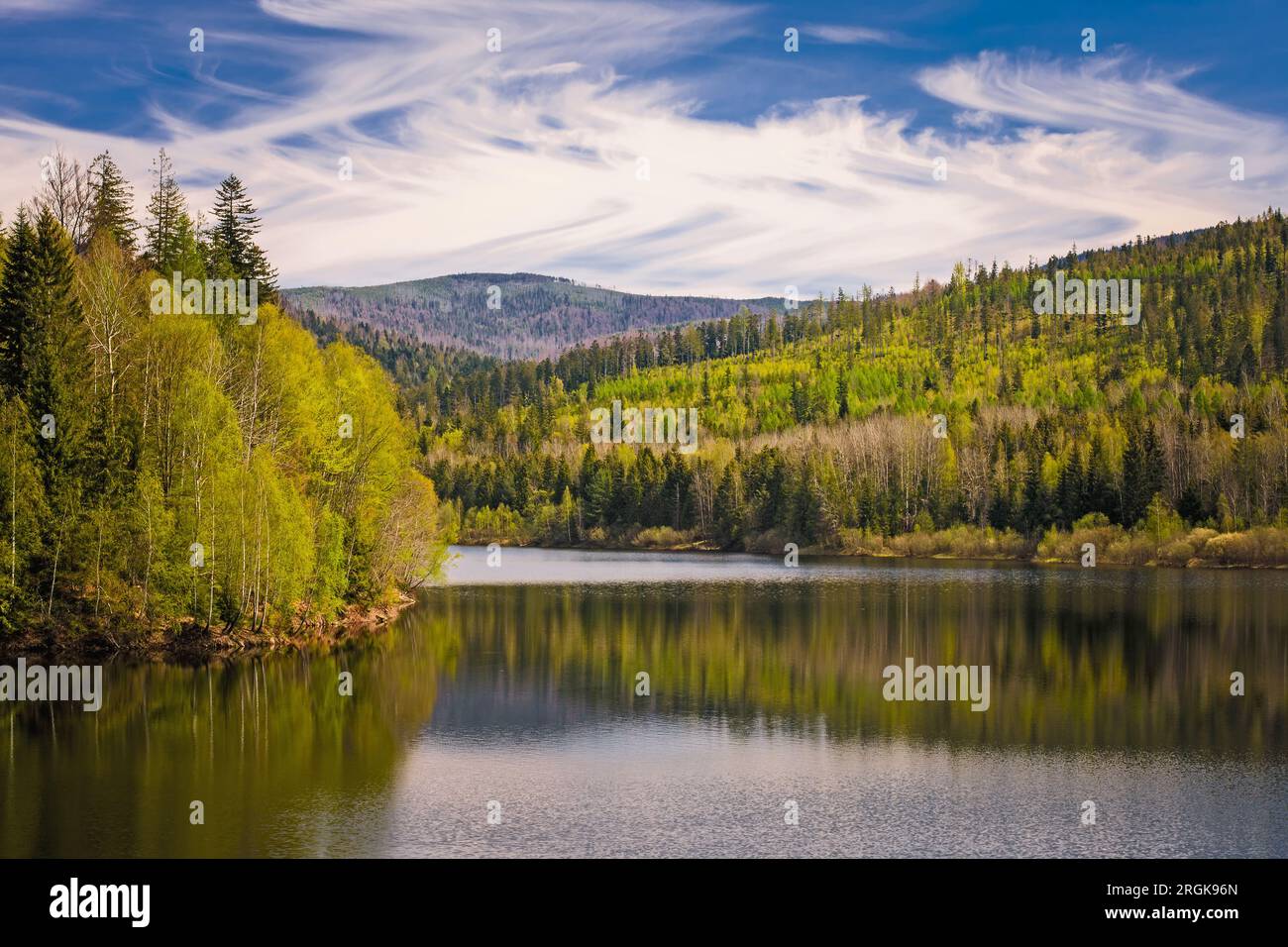 Czernianskie Lake (Zbiornik Czernianski, Jezioro Czarne). View of the ...