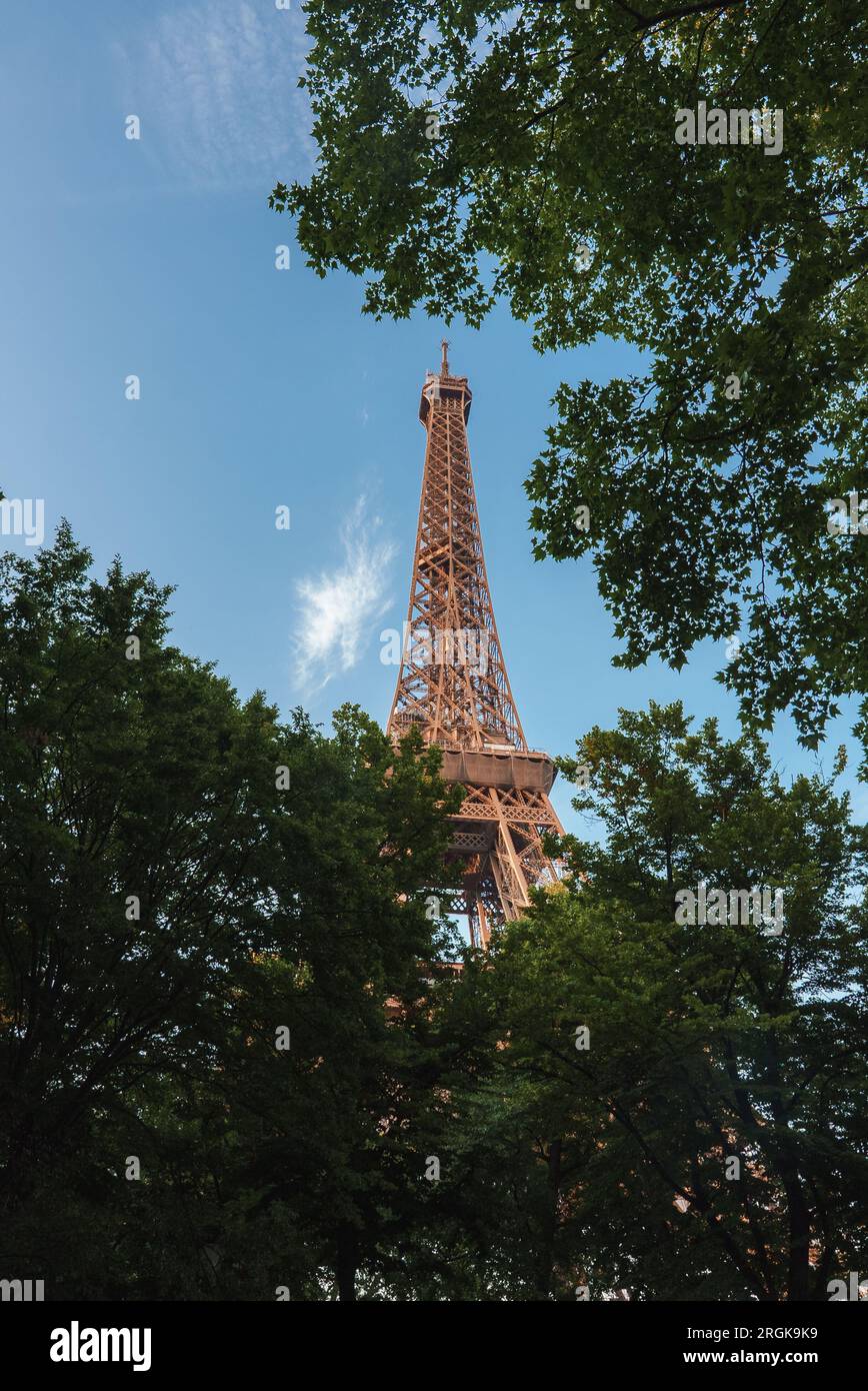 Lush green foliage paris hi-res stock photography and images - Alamy