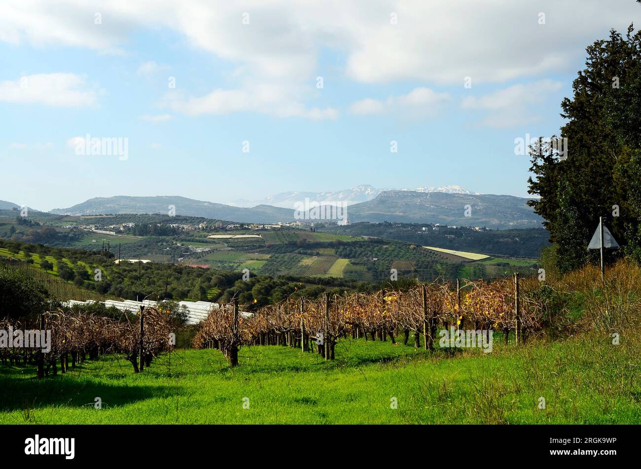 Greece, Crete, mountain village Kasteli with wine and olive plantation ...