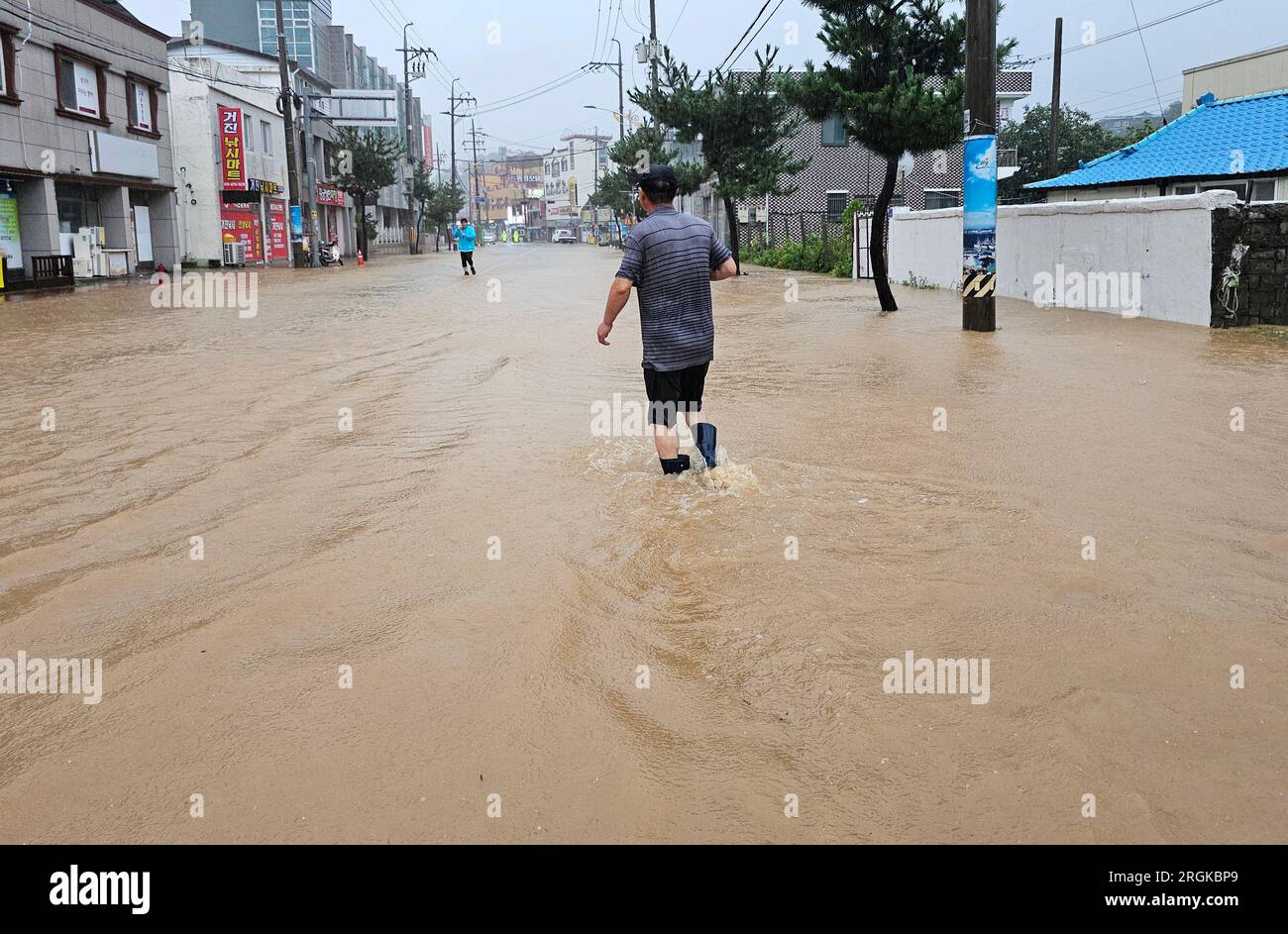 10th Aug, 2023. Typhoon-caused flood A pedestrian walks on a flooded ...