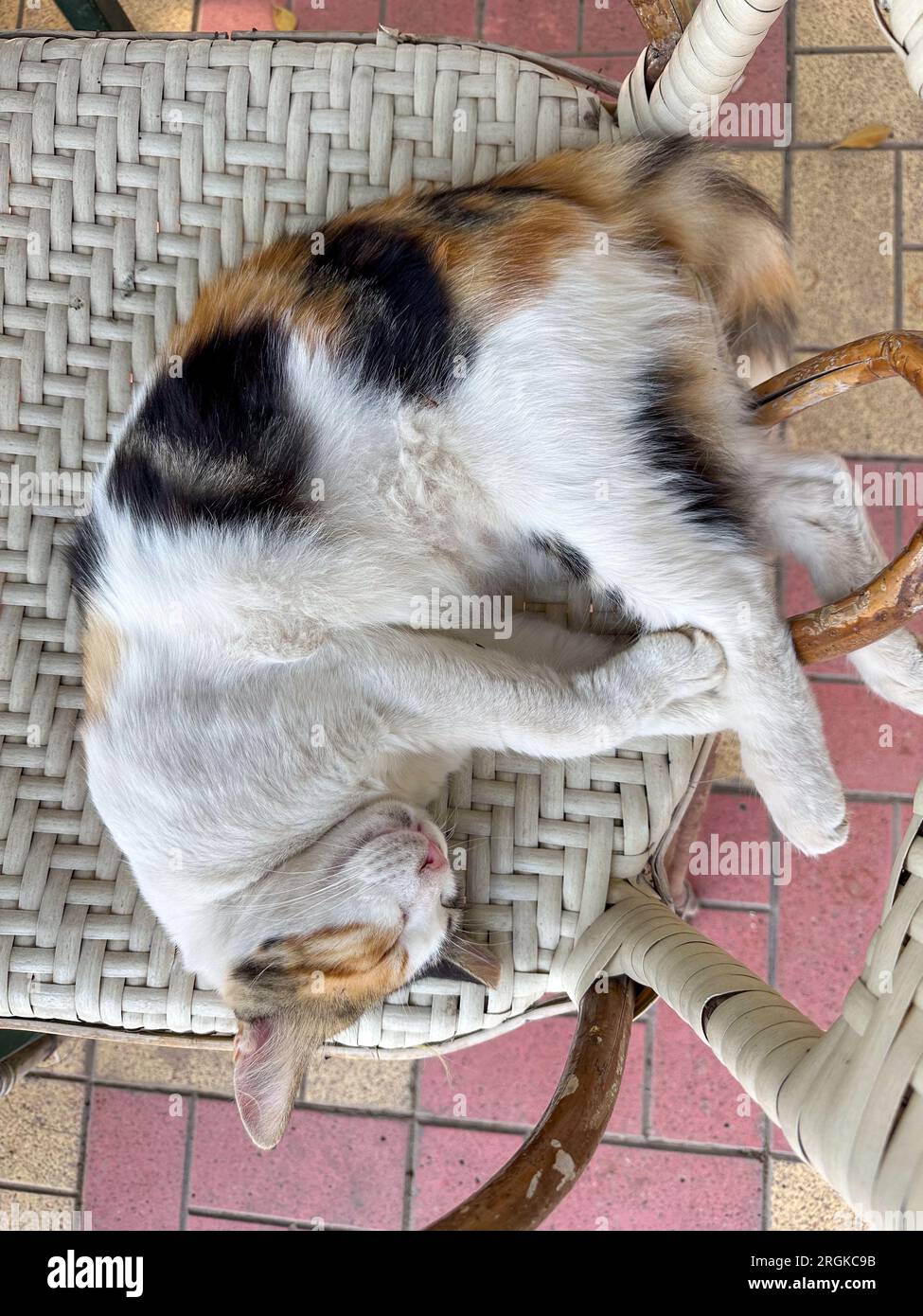 Sleep egypt hi-res stock photography and images - Alamy