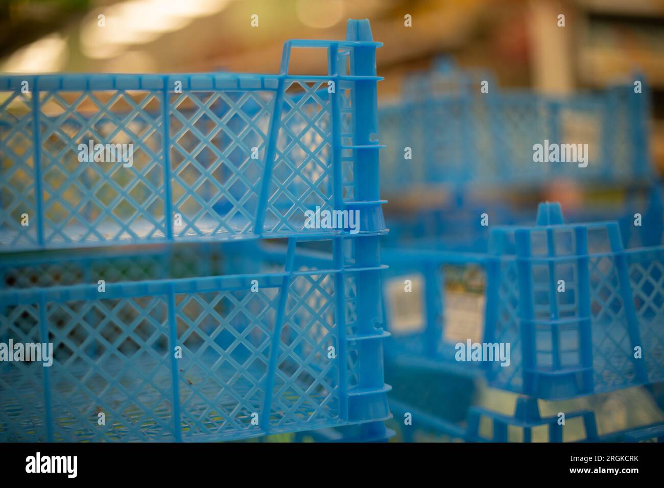 Blue box for vegetables. Fruit tray. Store details. Basket for products ...