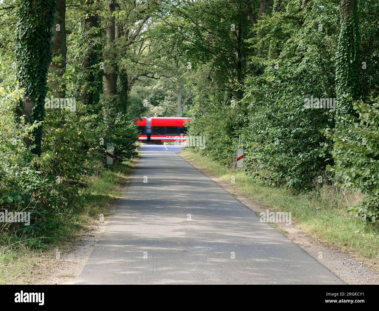 Train passing level crossing, motion blur, trees on the left and right ...