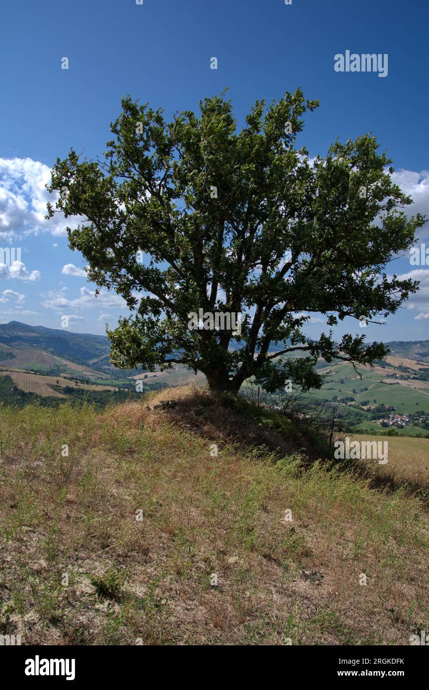 Campagna paesaggio cielo nuvola hi-res stock photography and images - Alamy