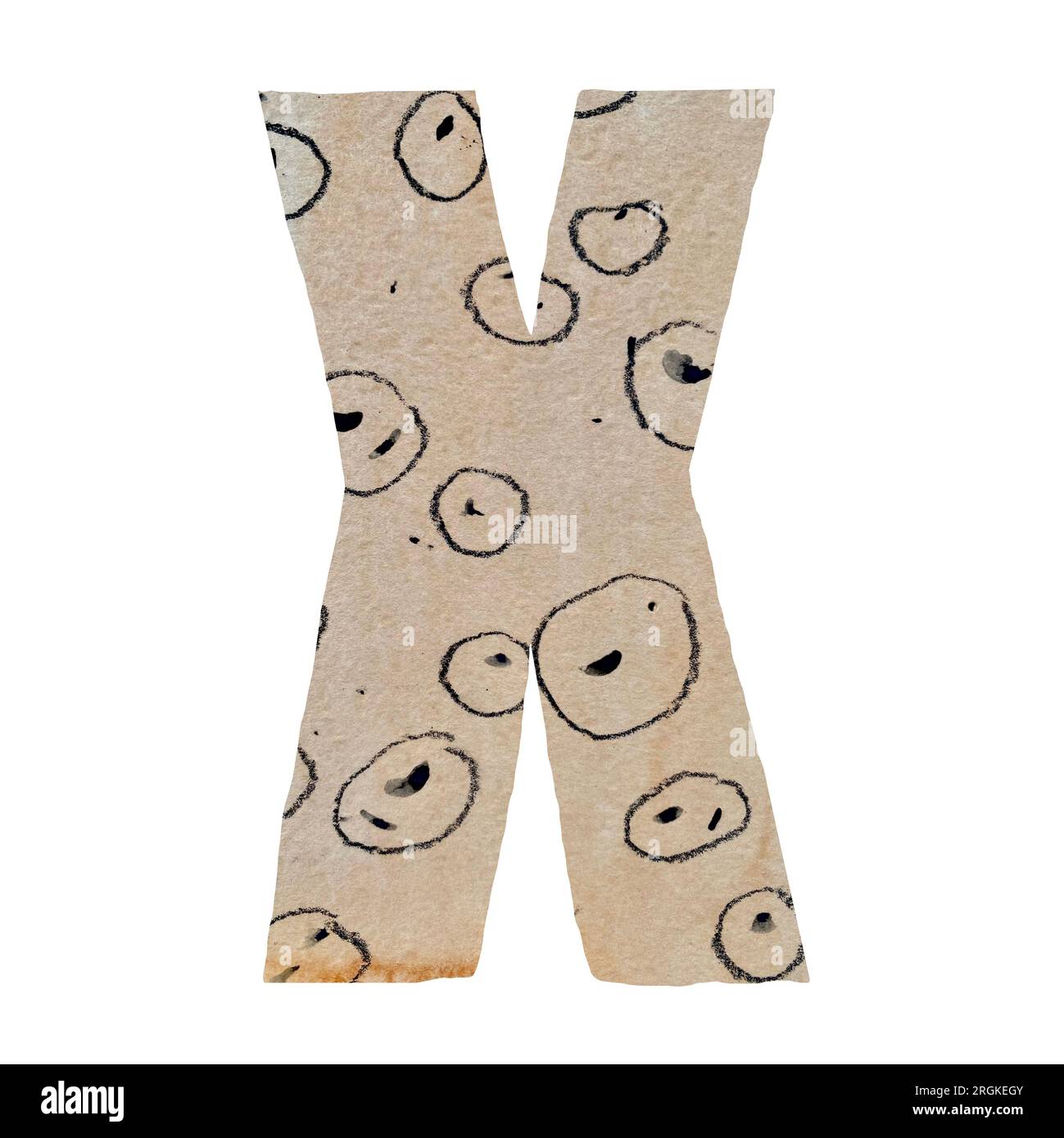 Capital letter X cut out paper alphabet Stock Photo - Alamy