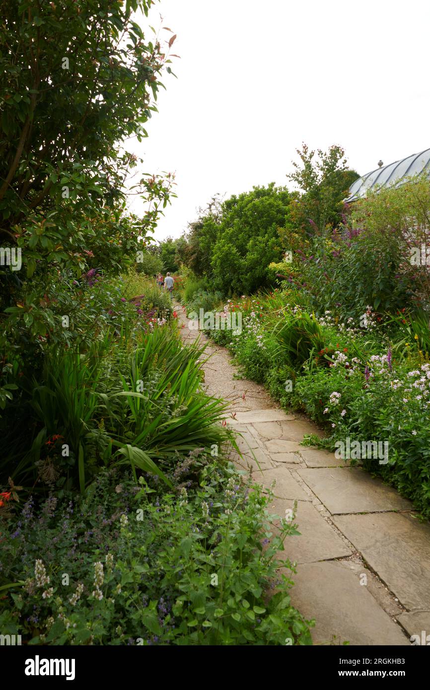 A serene garden pathway lined with lush greenery and colourful flowers ...