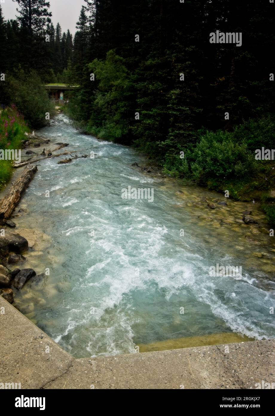 Lake Louise Banff National Park Alberta Stock Photo - Alamy
