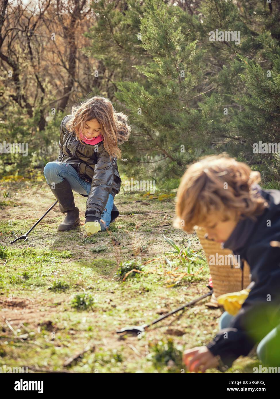 Concentrated teenagers volunteers picking up rubbish and plastic waste ...